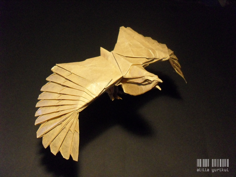 Eagle – İstanbul Origami
