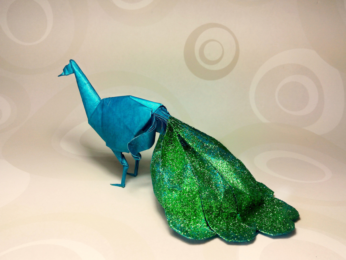 Peacock - İstanbul Origami